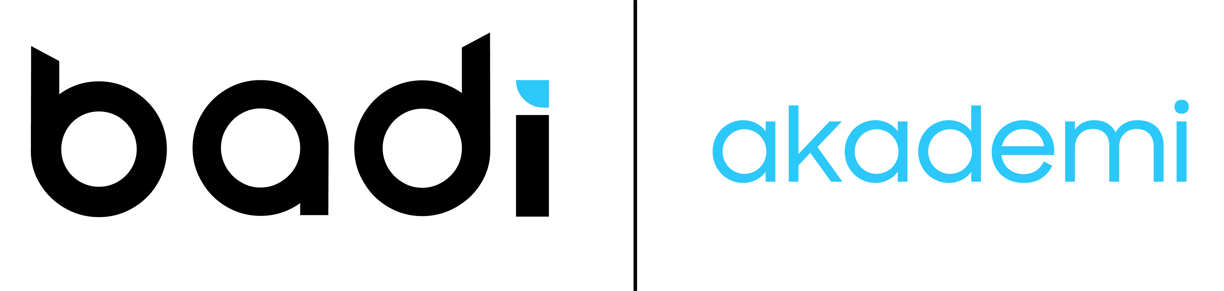 Badi Company - Ana Sayfa